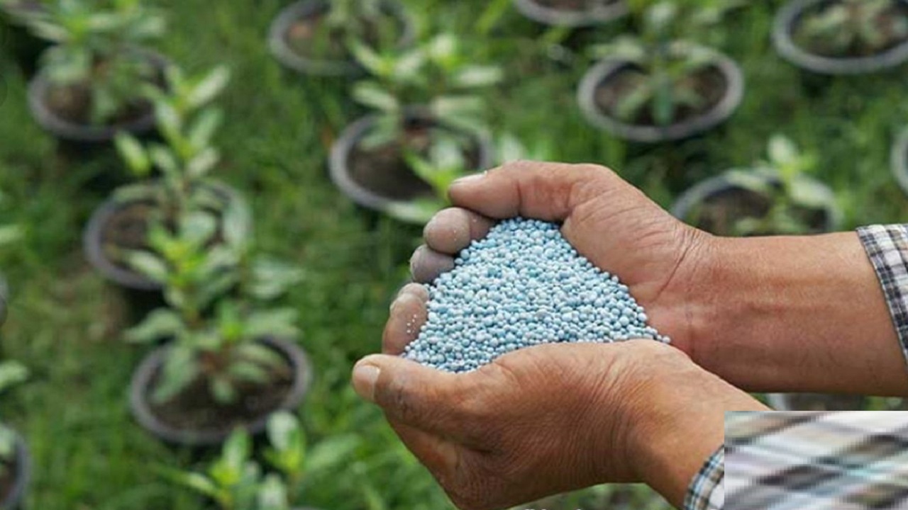 Fenni gübre nedir? - Zafer Tarım Market (uygun fiyatlı fenni gübreler)